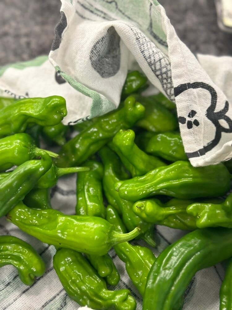 Grilled Shishito Peppers » Chick In Apron